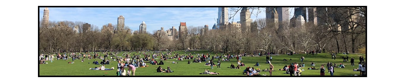 QUEST CLASS VIDEOS - Spring 2021 - Quest